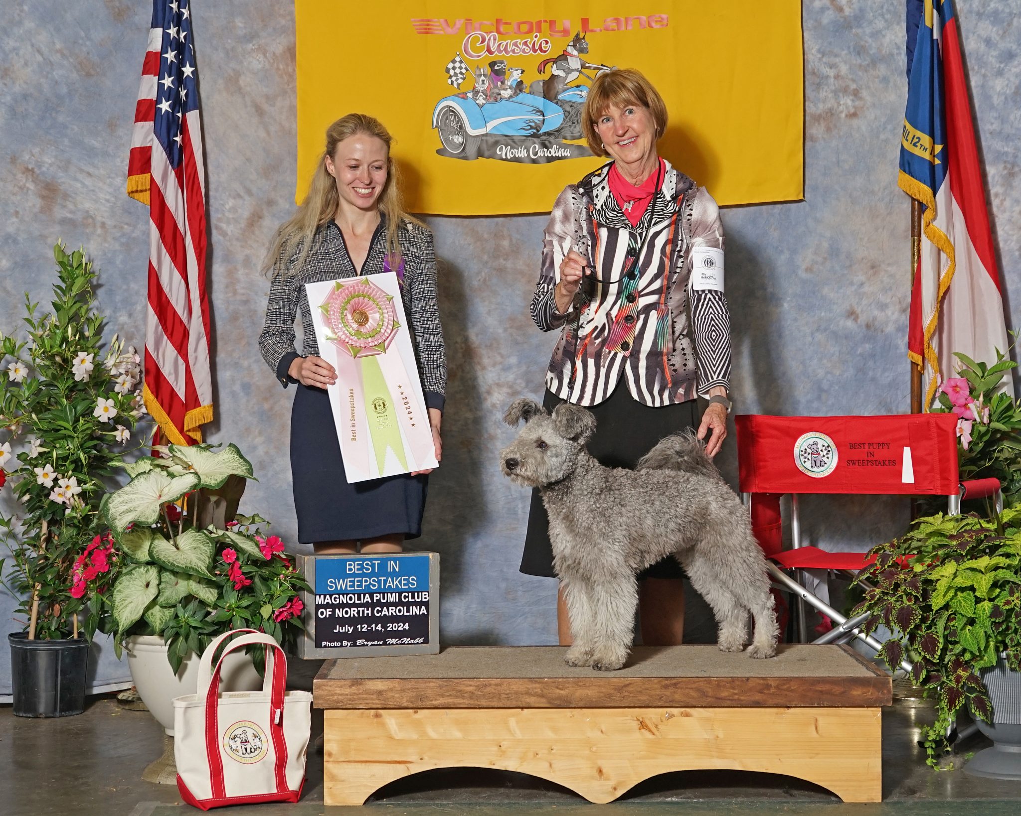 Our Pumi Boy – Ter-Lee Toy Fox Terriers & Pumik